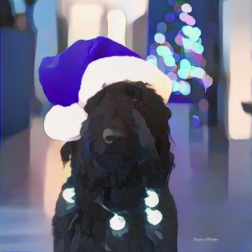 cartoonify | Free AI tool | Anakin.ai