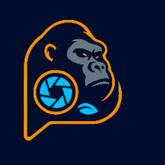 Veo 3 Consistent Prompt Generator | Free AI tool | Anakin